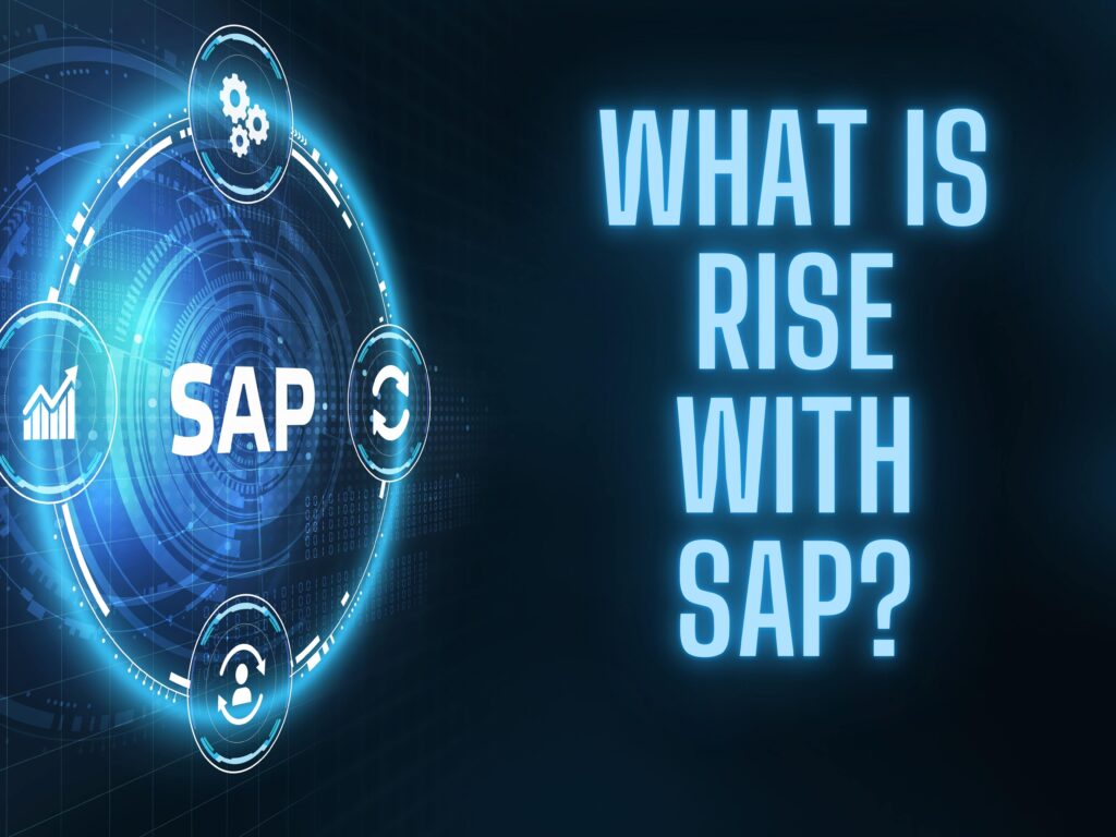 What is RISE with SAP? Finding the Right Fit for Your Business ...